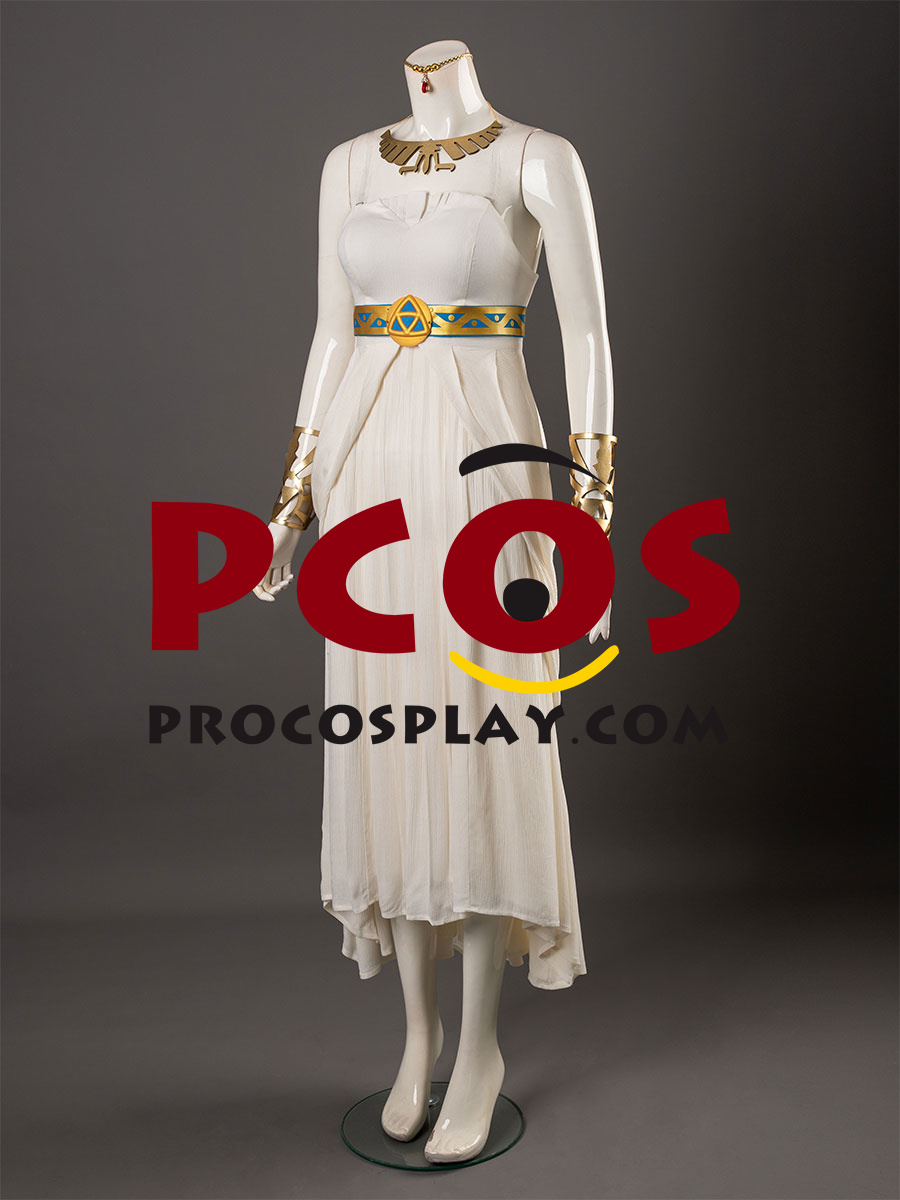 The Legend of Zelda: Breath of the Wild Princess Zelda Cosplay Costume ...