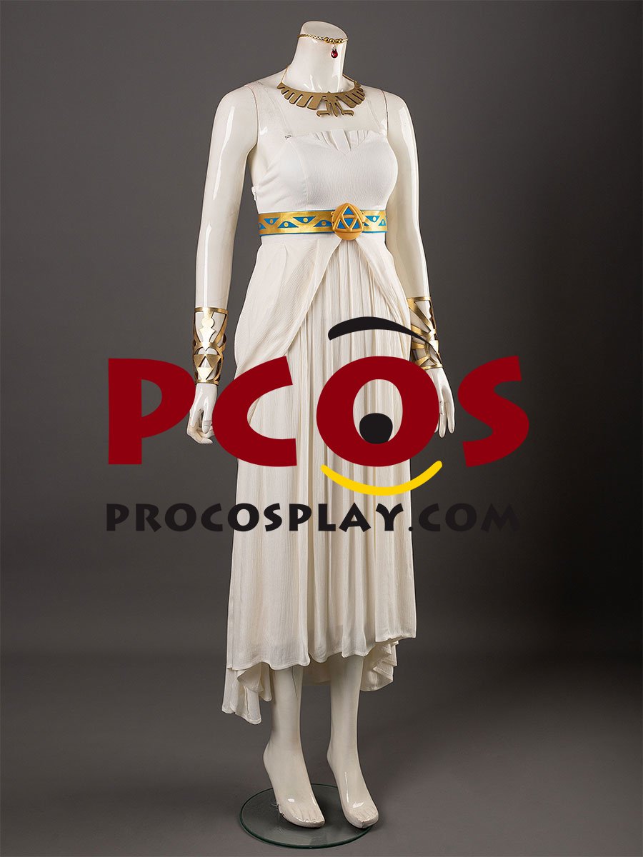 The Legend of Zelda: Breath of the Wild Princess Zelda Cosplay Costume ...