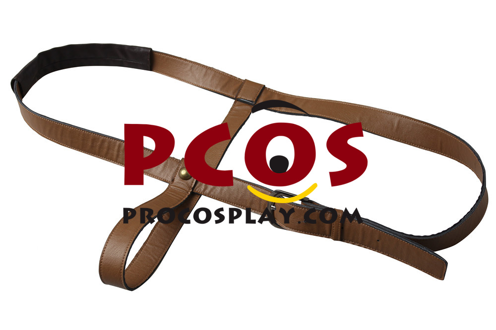 Ready to Ship The Legend of Zelda: Breath of the Wild Link Champion's ...