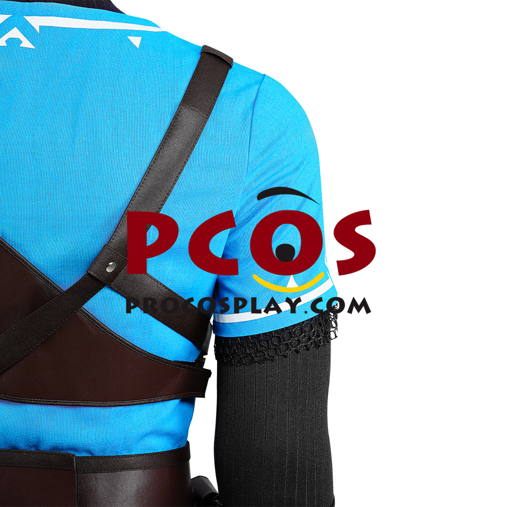 Ready to Ship The Legend of Zelda: Tears of the Kingdom Link Cosplay ...