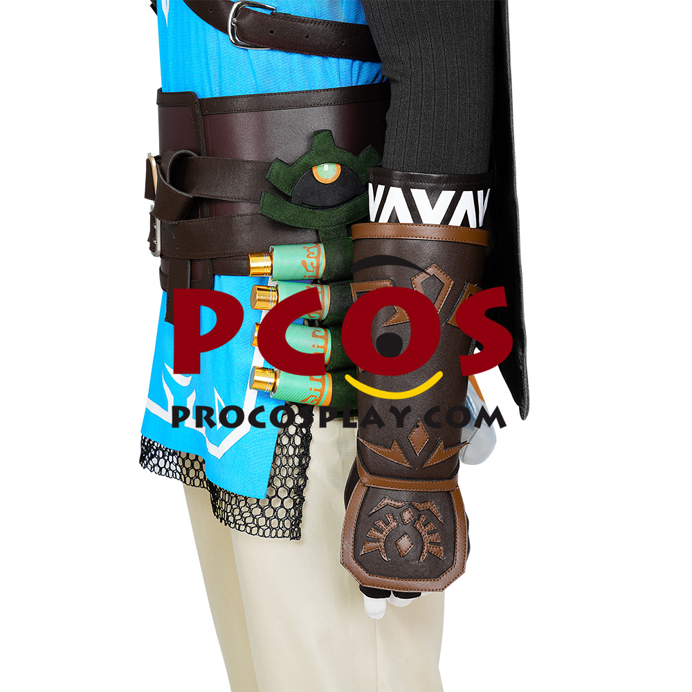 Ready to Ship The Legend of Zelda: Tears of the Kingdom Link Cosplay ...