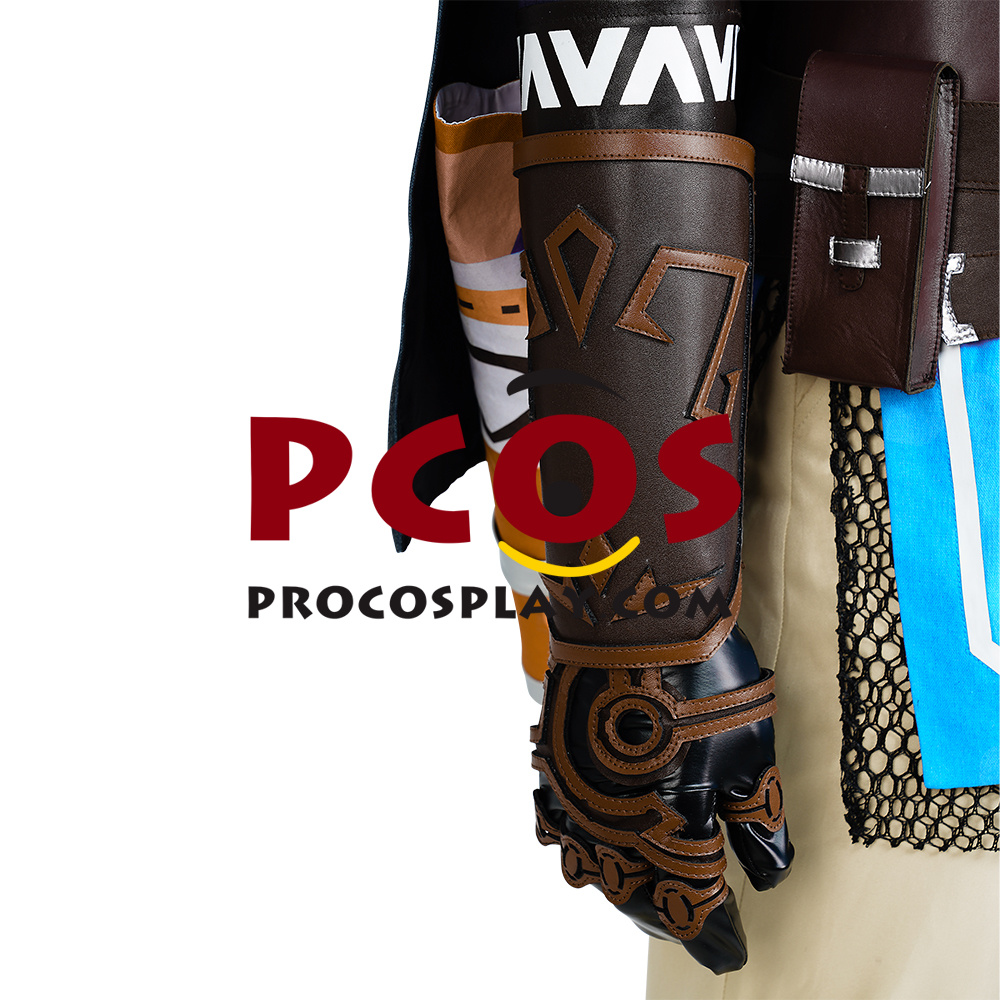 Ready to Ship The Legend of Zelda: Tears of the Kingdom Link Cosplay ...