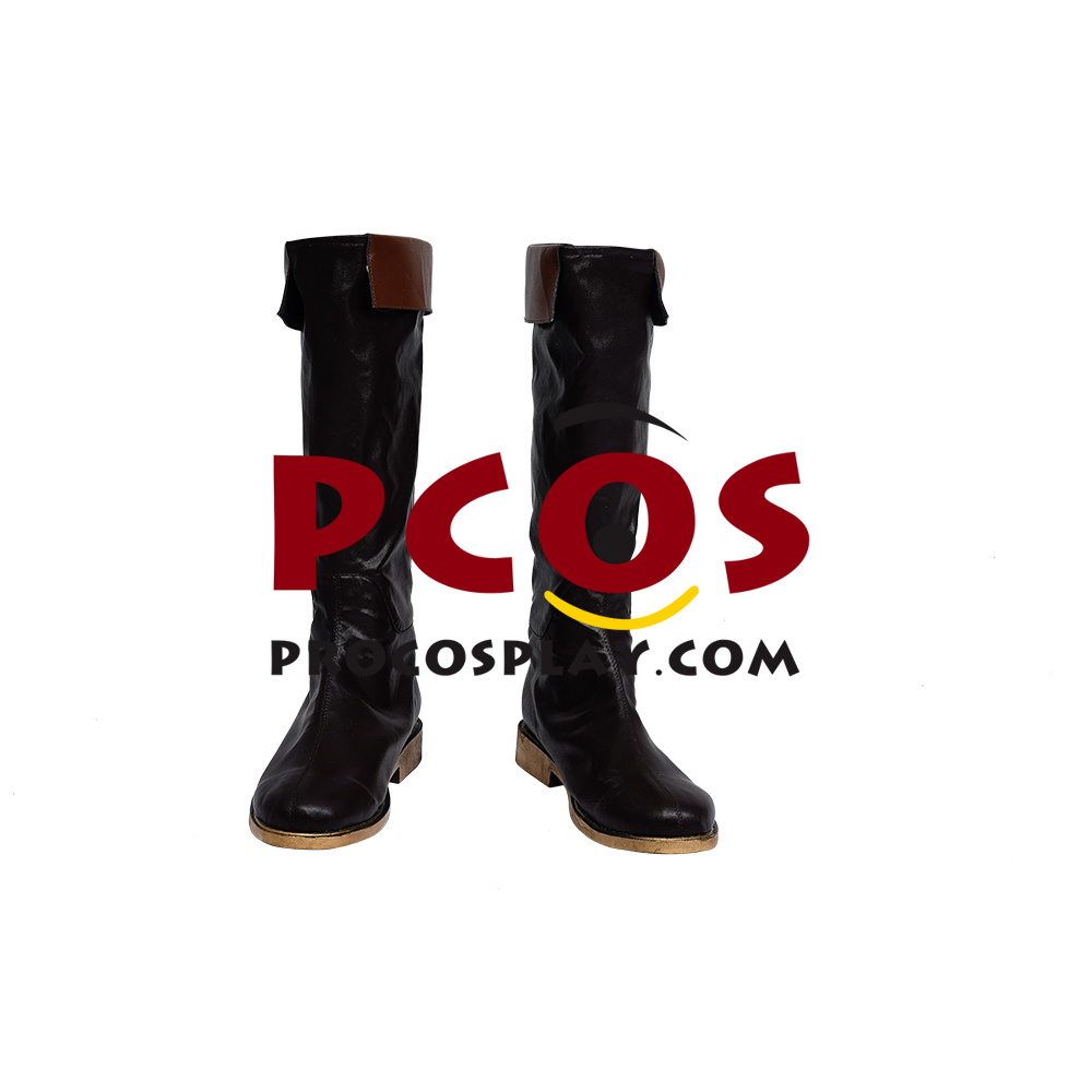 Botas de cosplay de Link de The Legend of Zelda: Tears of the Kingdom ...