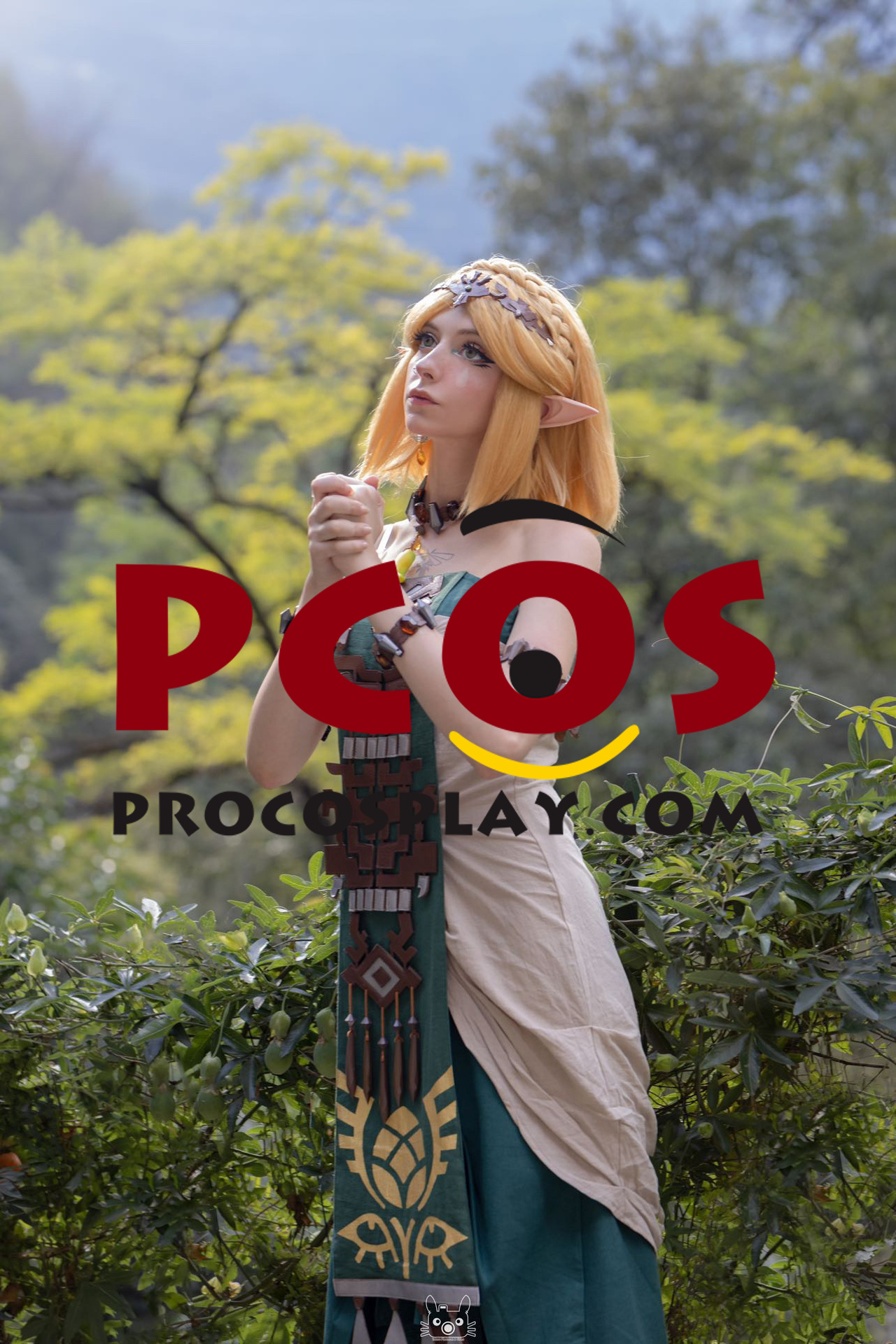 ProCoslay Legend of Zelda Cosplay Costume | Hyrule Princess Zelda ...