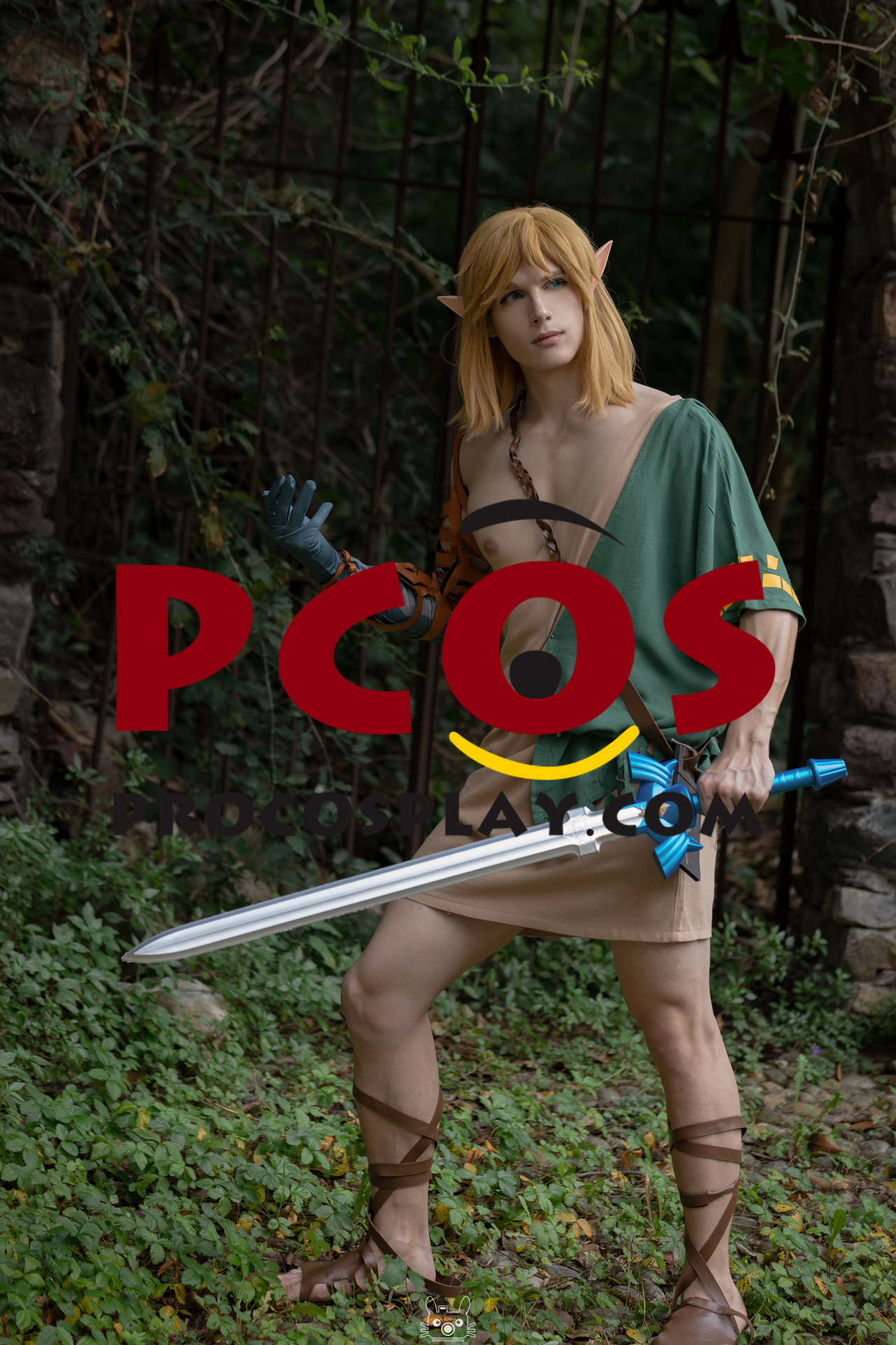 The Legend of Zelda: Tears of the Kingdom Link Cosplay Costume C07826 - Best Profession Cosplay ...