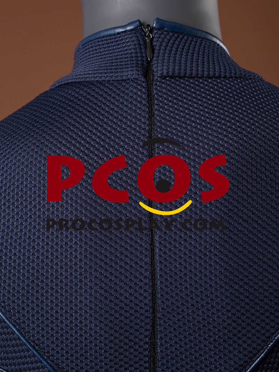 Top notch Carol Danvers Cosplay Costume - Best Profession Cosplay ...