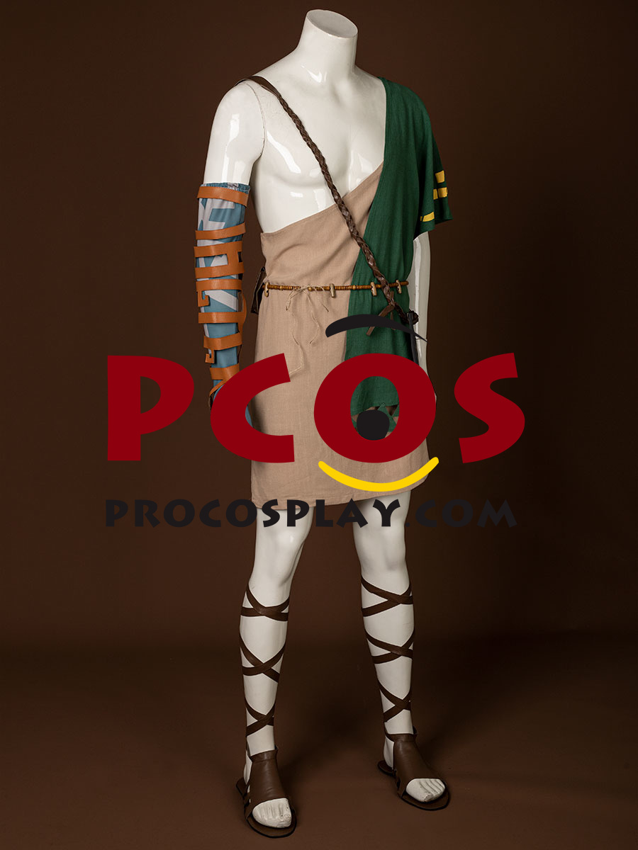 The Legend of Zelda: Tears of the Kingdom Link Cosplay Costume C07826 ...