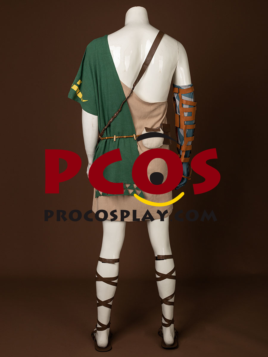 The Legend of Zelda: Tears of the Kingdom Link Cosplay Costume C07826 ...