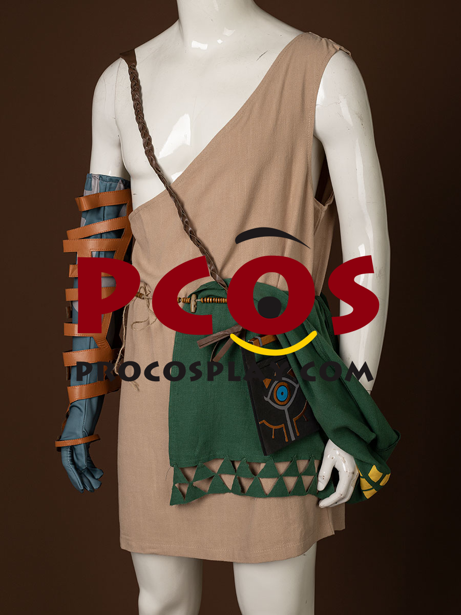The Legend of Zelda: Tears of the Kingdom Link Cosplay Costume C07826 ...