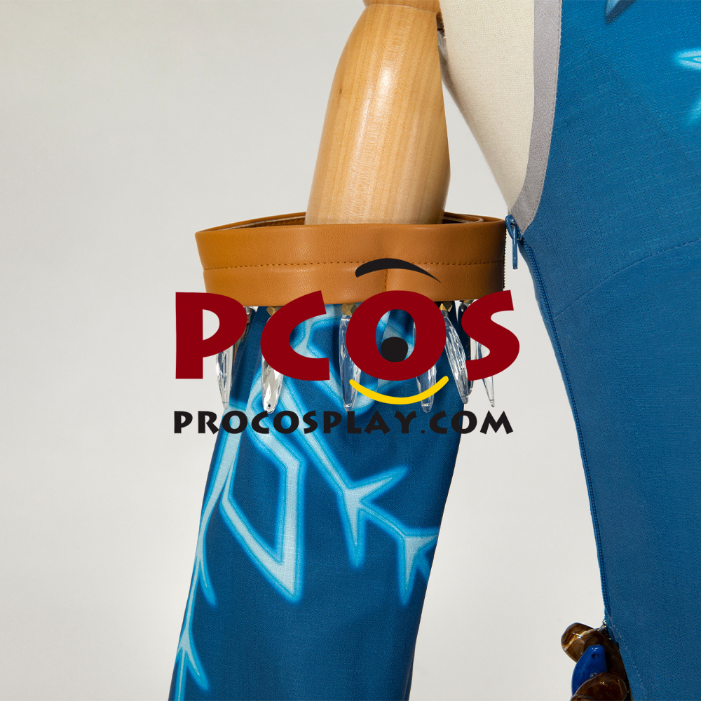 The Legend of Zelda: Tears of the Kingdom Link Cosplay Costume C08566 ...