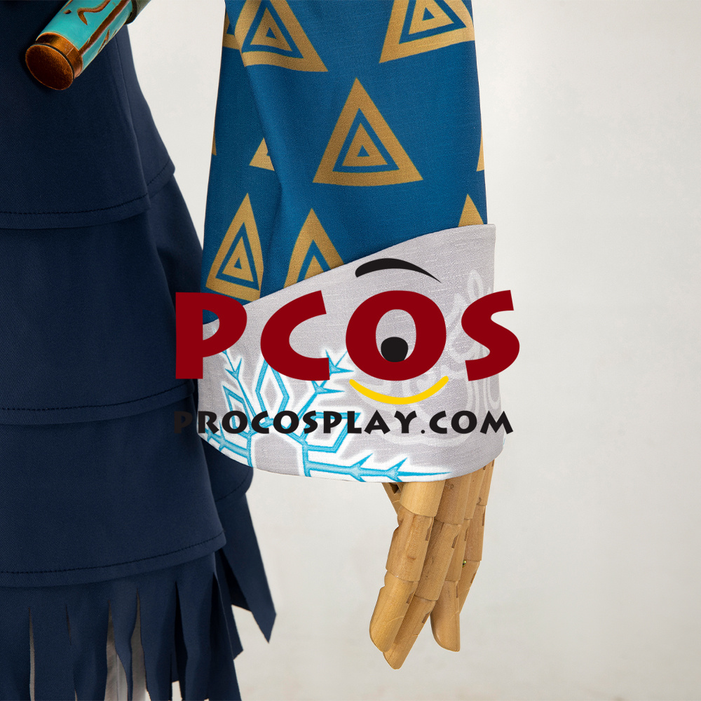 The Legend of Zelda: Tears of the Kingdom Link Cosplay Costume C08566 ...