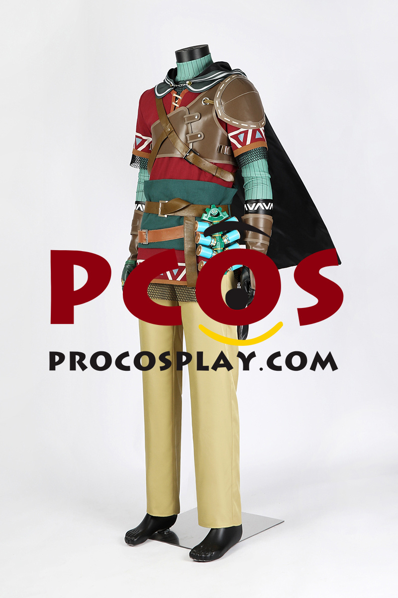 The Legend of Zelda: Tears of the Kingdom Link Cosplay Costume C08645 ...