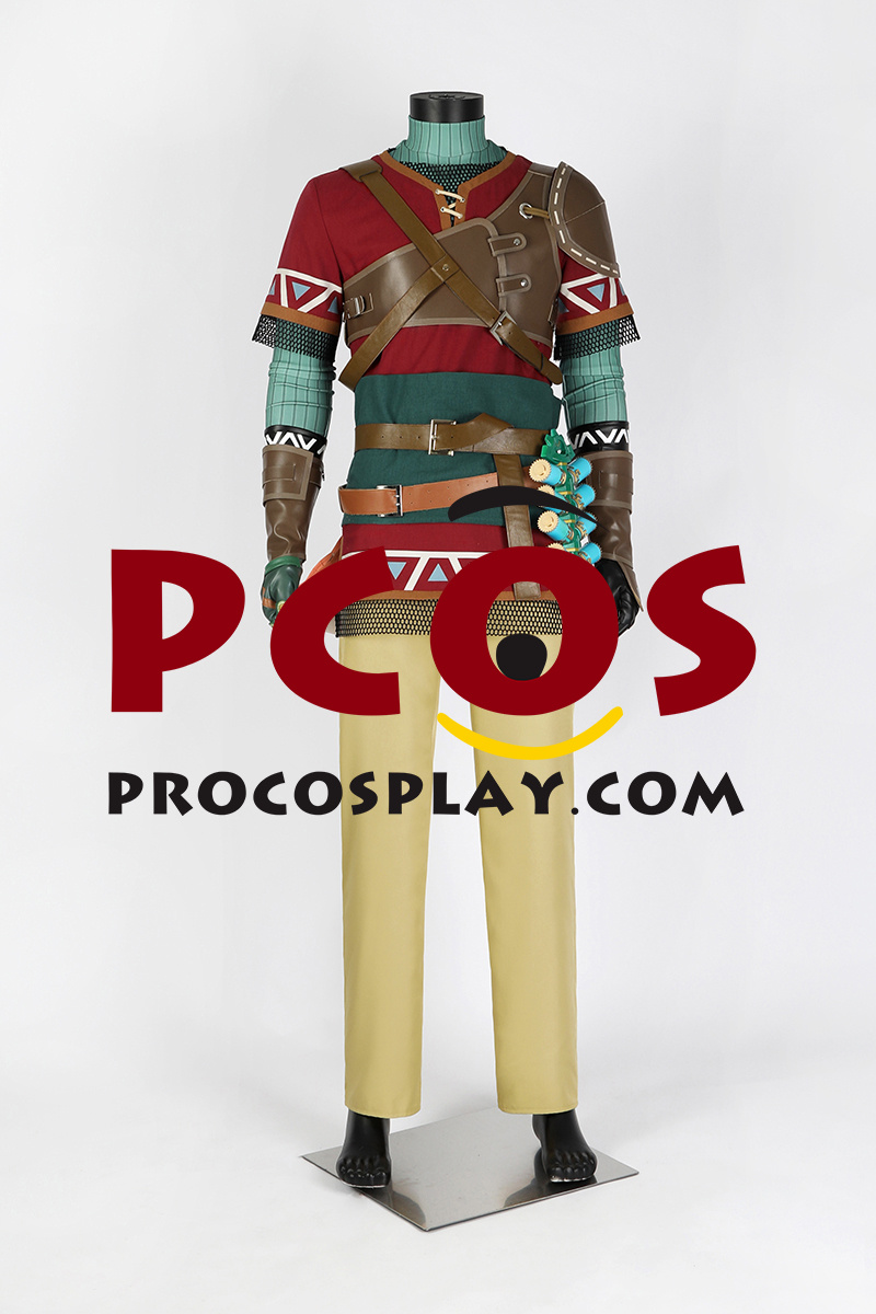 The Legend of Zelda: Tears of the Kingdom Link Cosplay Costume C08645 ...