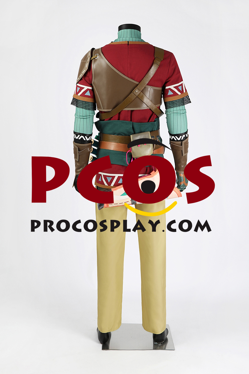 The Legend of Zelda: Tears of the Kingdom Link Cosplay Costume C08645 ...