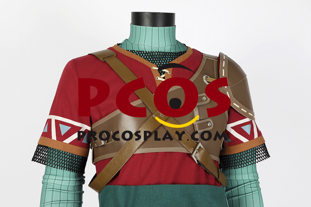 The Legend of Zelda: Tears of the Kingdom Link Cosplay Costume C08645 ...