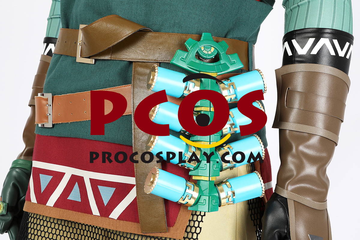 The Legend of Zelda: Tears of the Kingdom Link Cosplay Costume C08645 ...