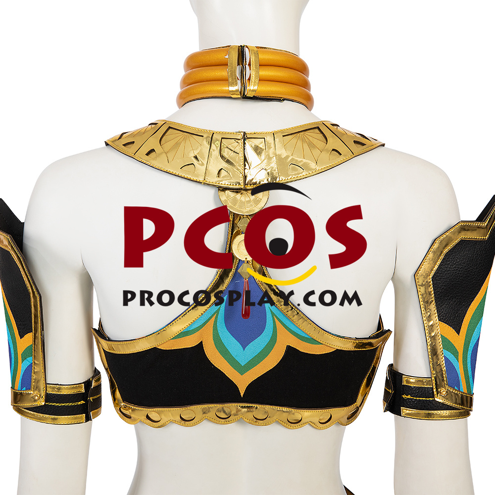 The Legend of Zelda: Tears of the Kingdom Riju Cosplay Costume C08658 ...