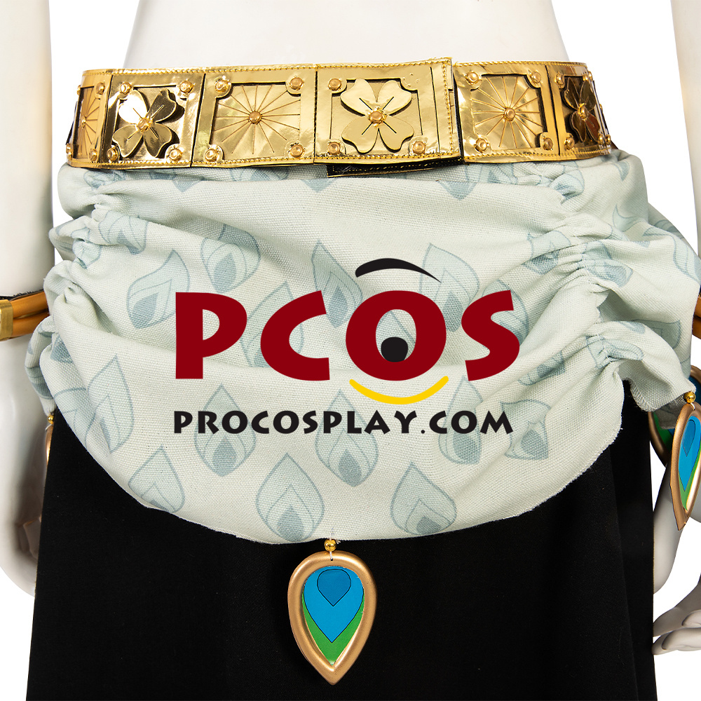 The Legend of Zelda: Tears of the Kingdom Riju Cosplay Costume C08658 ...