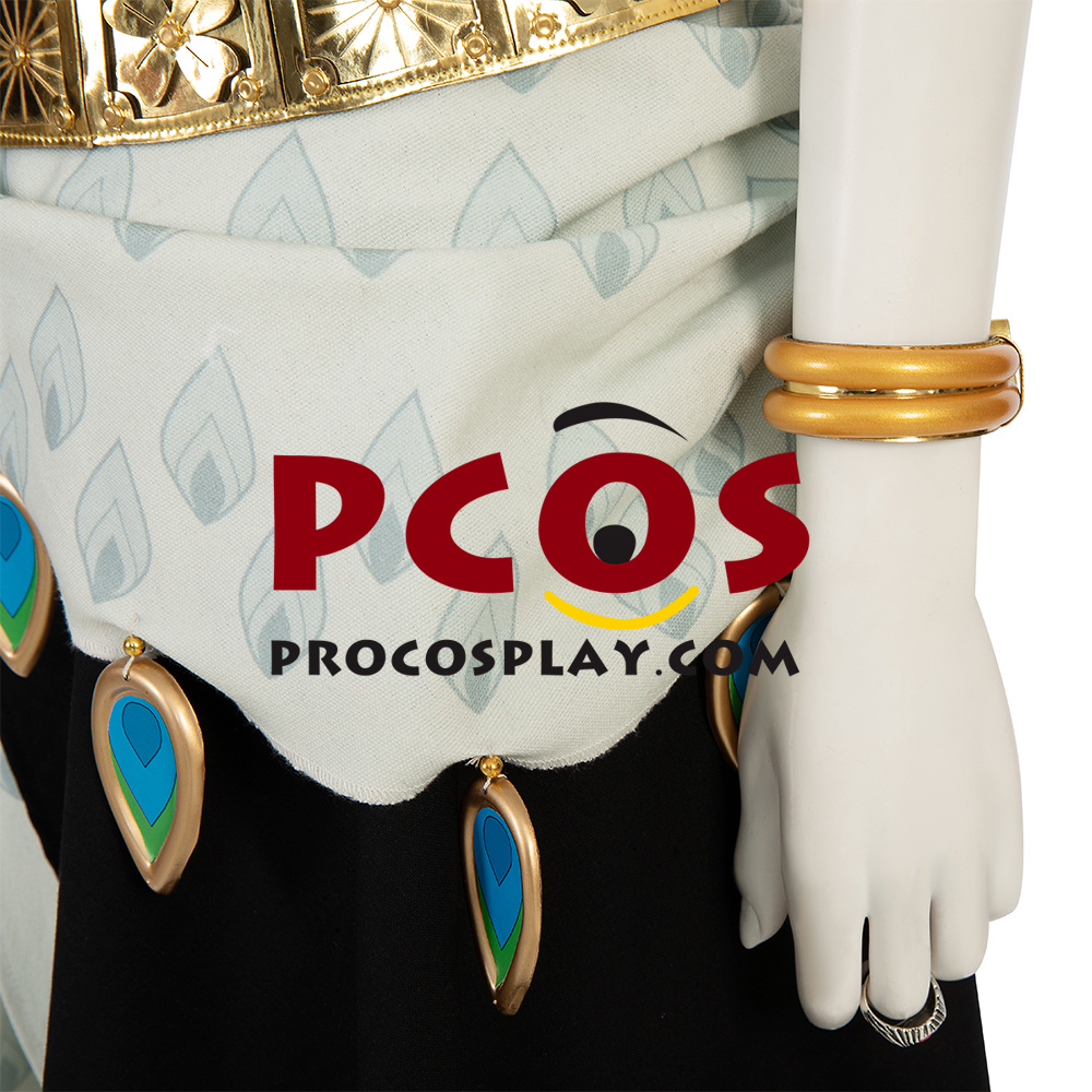 The Legend of Zelda: Tears of the Kingdom Riju Cosplay Costume C08658 ...