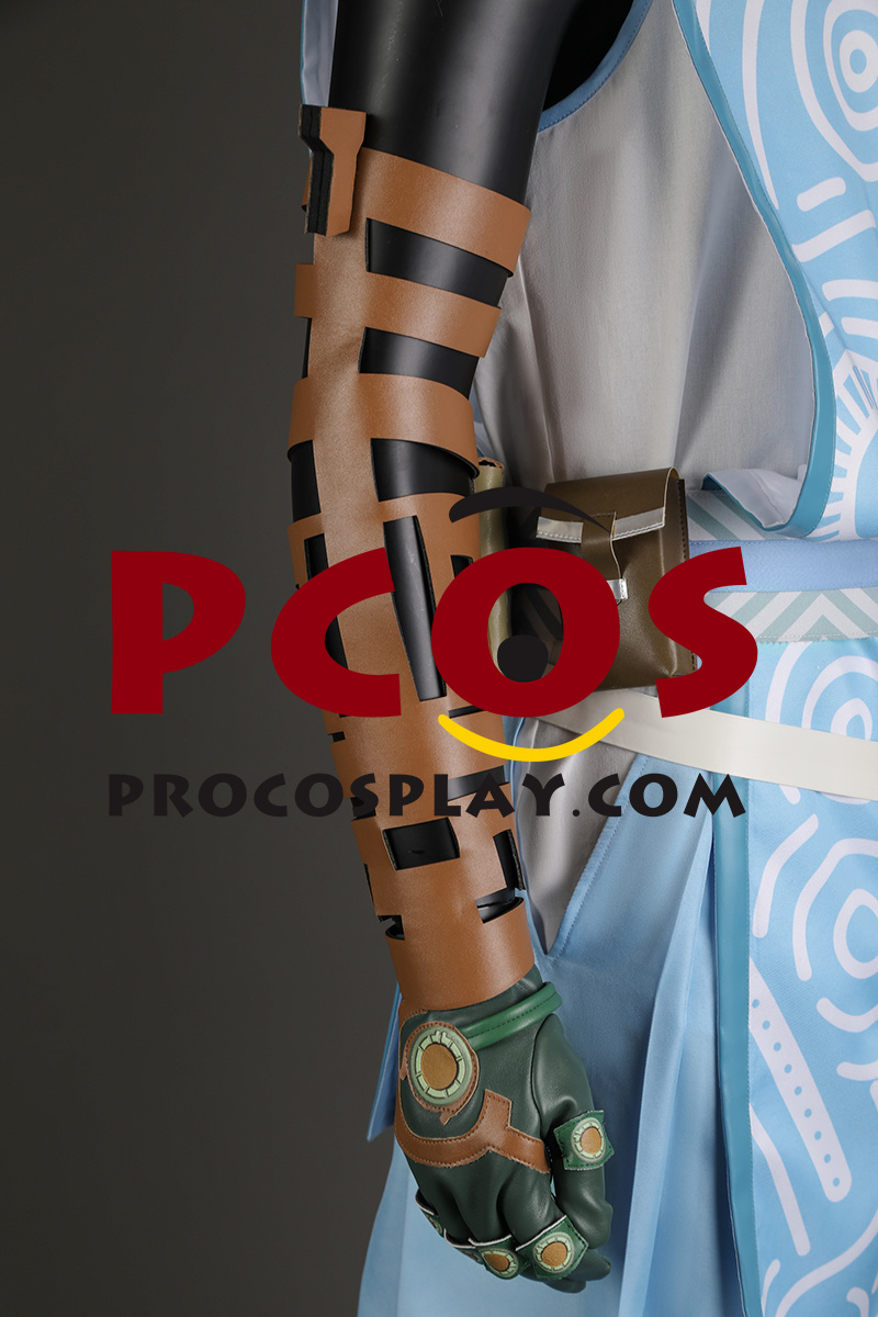 The Legend of Zelda: Tears of the Kingdom Link Cosplay Costume - Best ...