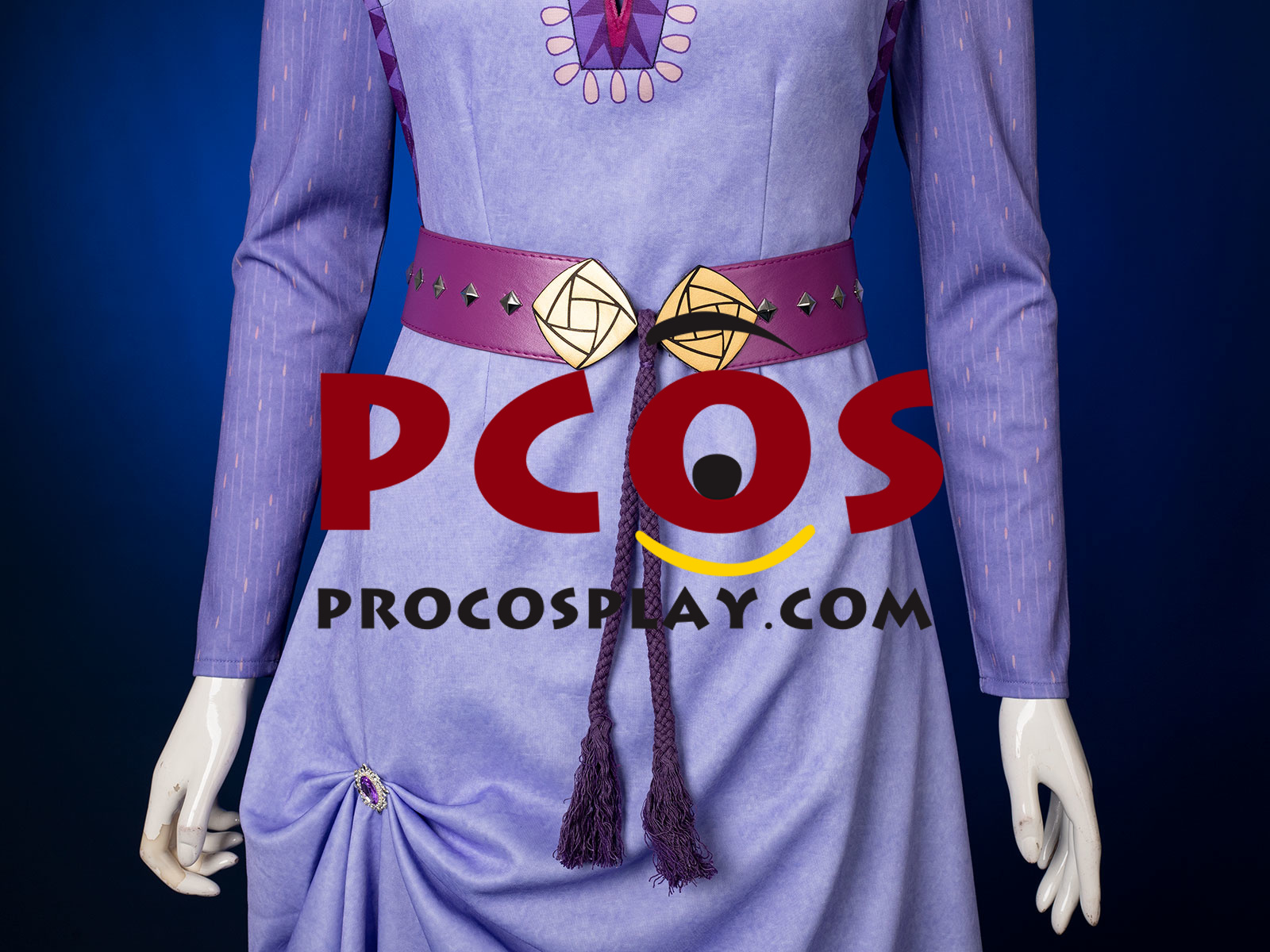 2023 Movie Wish Asha Cosplay Costume C08734 Upgraded Version - Best ...