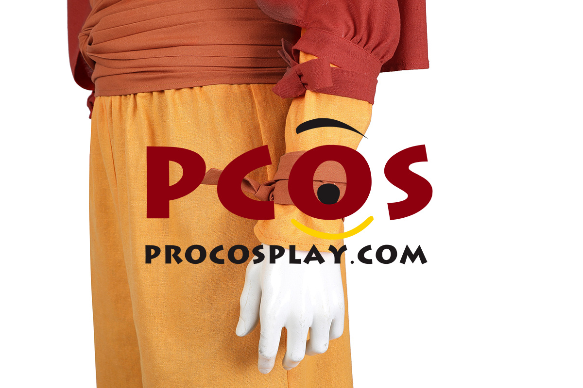 Avatar: The Last Airbender Avatar Aang cosplay costume C08887 - Best ...