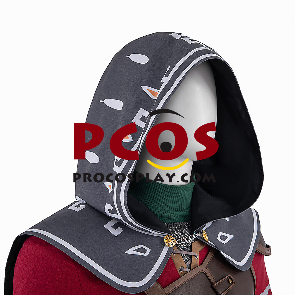 The Legend of Zelda: Tears of the Kingdom Link Cosplay Costume C09137 ...