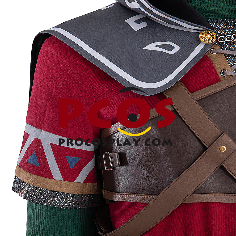 The Legend of Zelda: Tears of the Kingdom Link Cosplay Costume C09137 ...