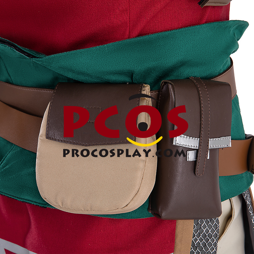 The Legend of Zelda: Tears of the Kingdom Link Cosplay Costume C09137 ...