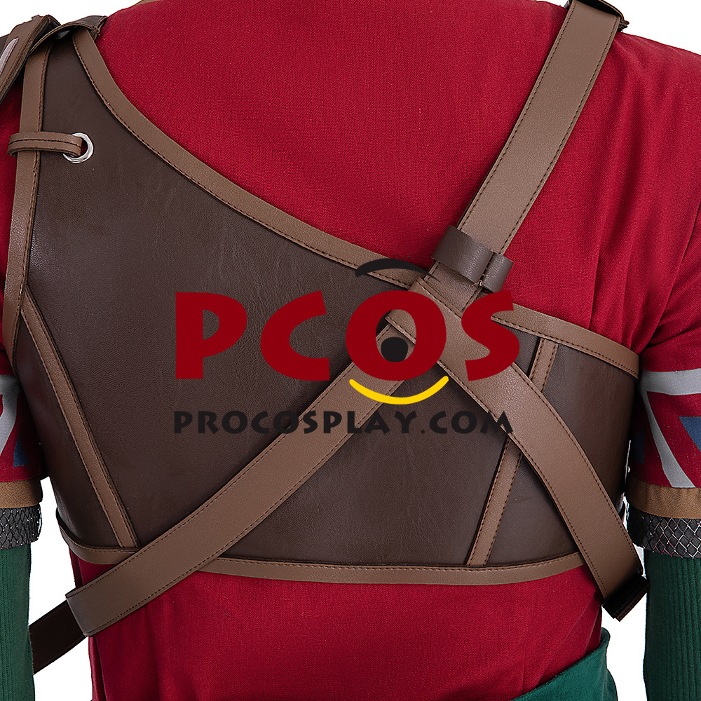 The Legend of Zelda: Tears of the Kingdom Link Cosplay Costume C09137 ...