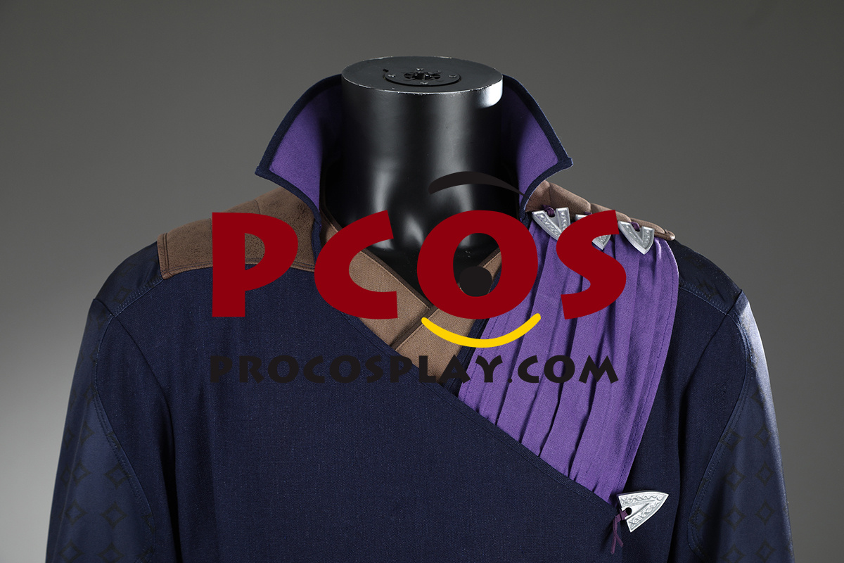 Game Baldur's Gate 3 Gale Dekarios Cosplay Costume C09157 Dark Purple ...