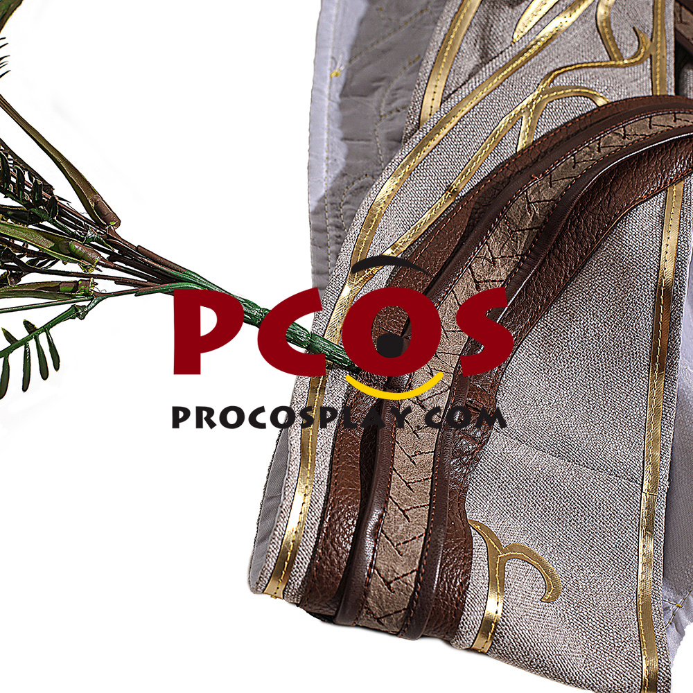 Baldur's Gate 3 Halsin Cosplay Costume C09164 - Best Profession Cosplay ...