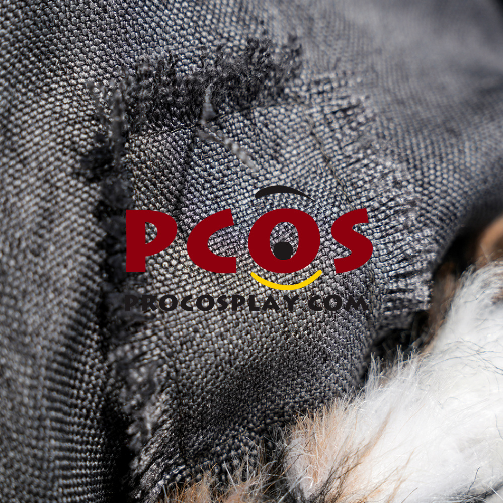 Game Black Myth: Wukong the Destined One Cosplay Costume C09193 - Best ...