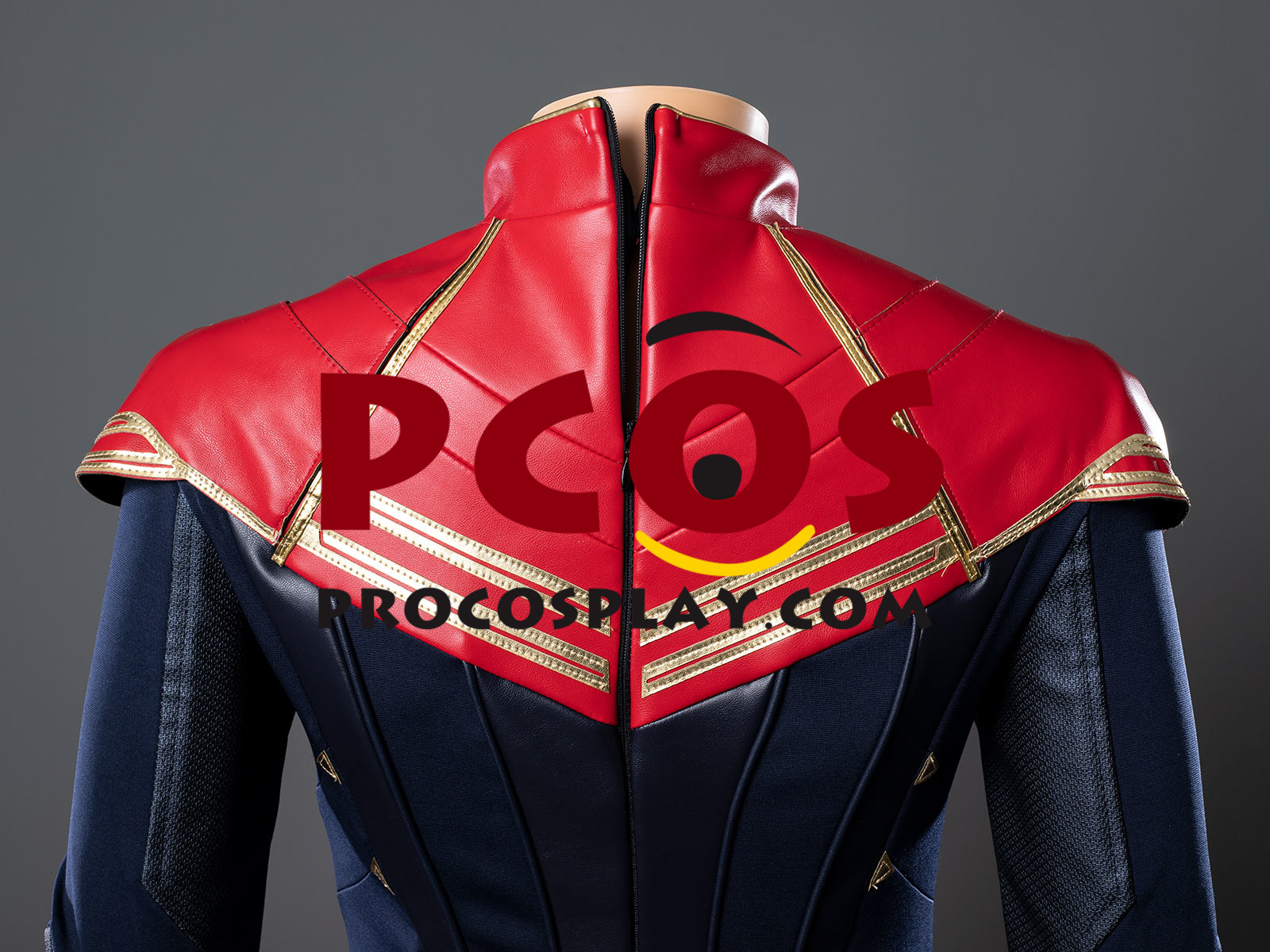 Ready to Ship Carol Danvers Cosplay Costume C08516 - Best Profession ...