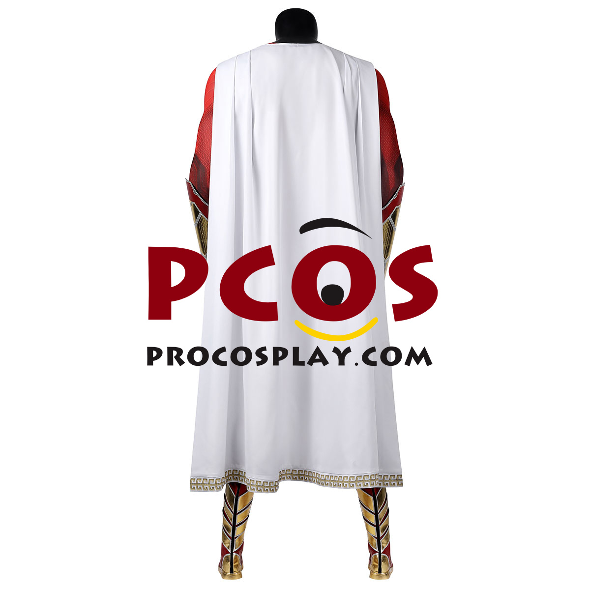 Ready to Ship Fury of the Gods Billy Batson Cosplay Costume C00840 ...