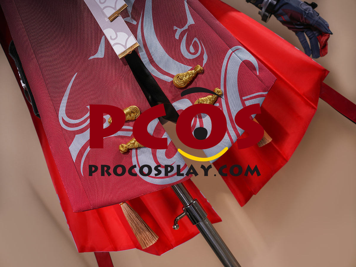 Wuthering Waves Danjin Cosplay Costume - Best Profession Cosplay ...