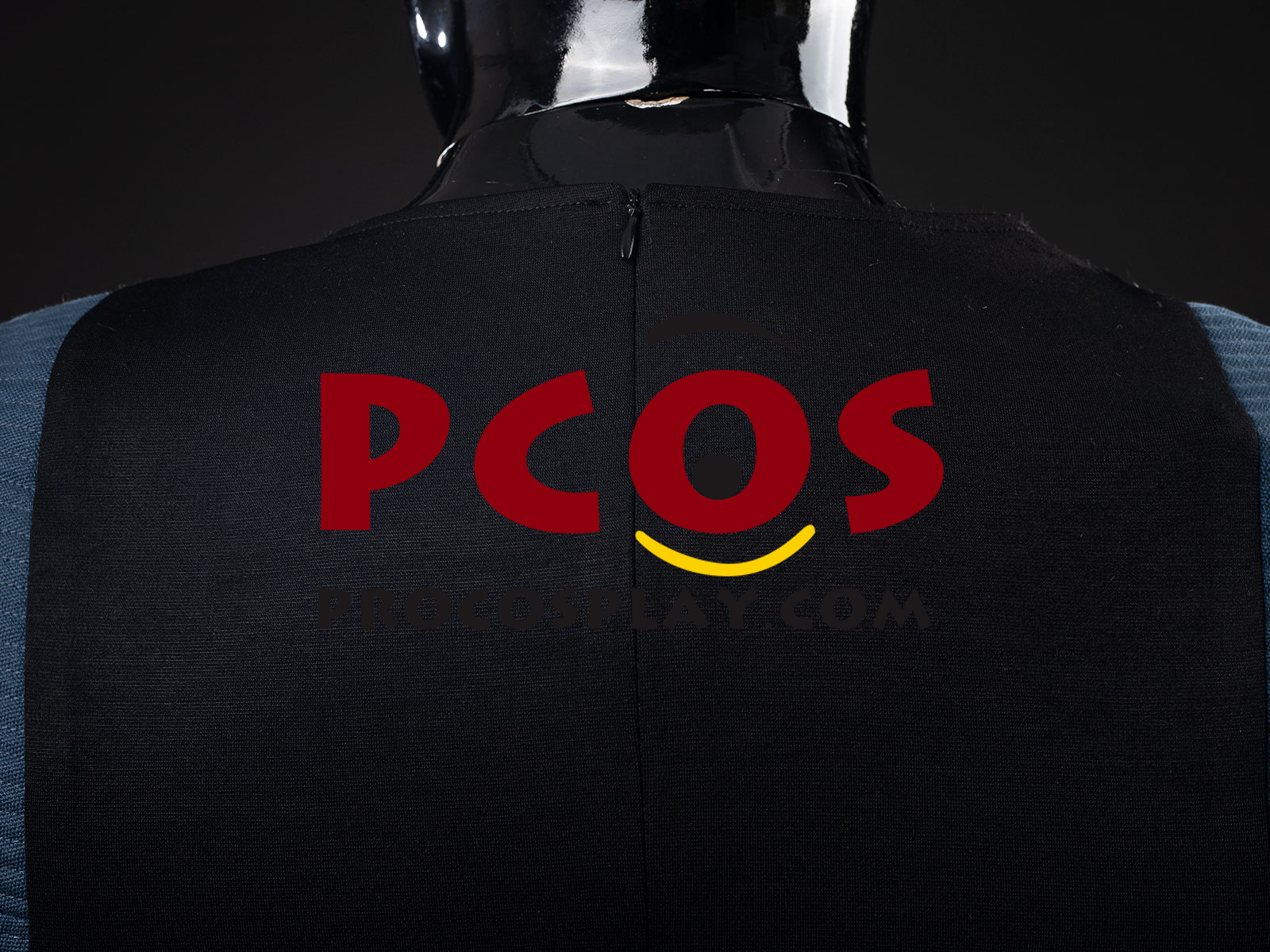 Captain America: Brave New World Falcon Sam Wilson Cosplay Costume ...