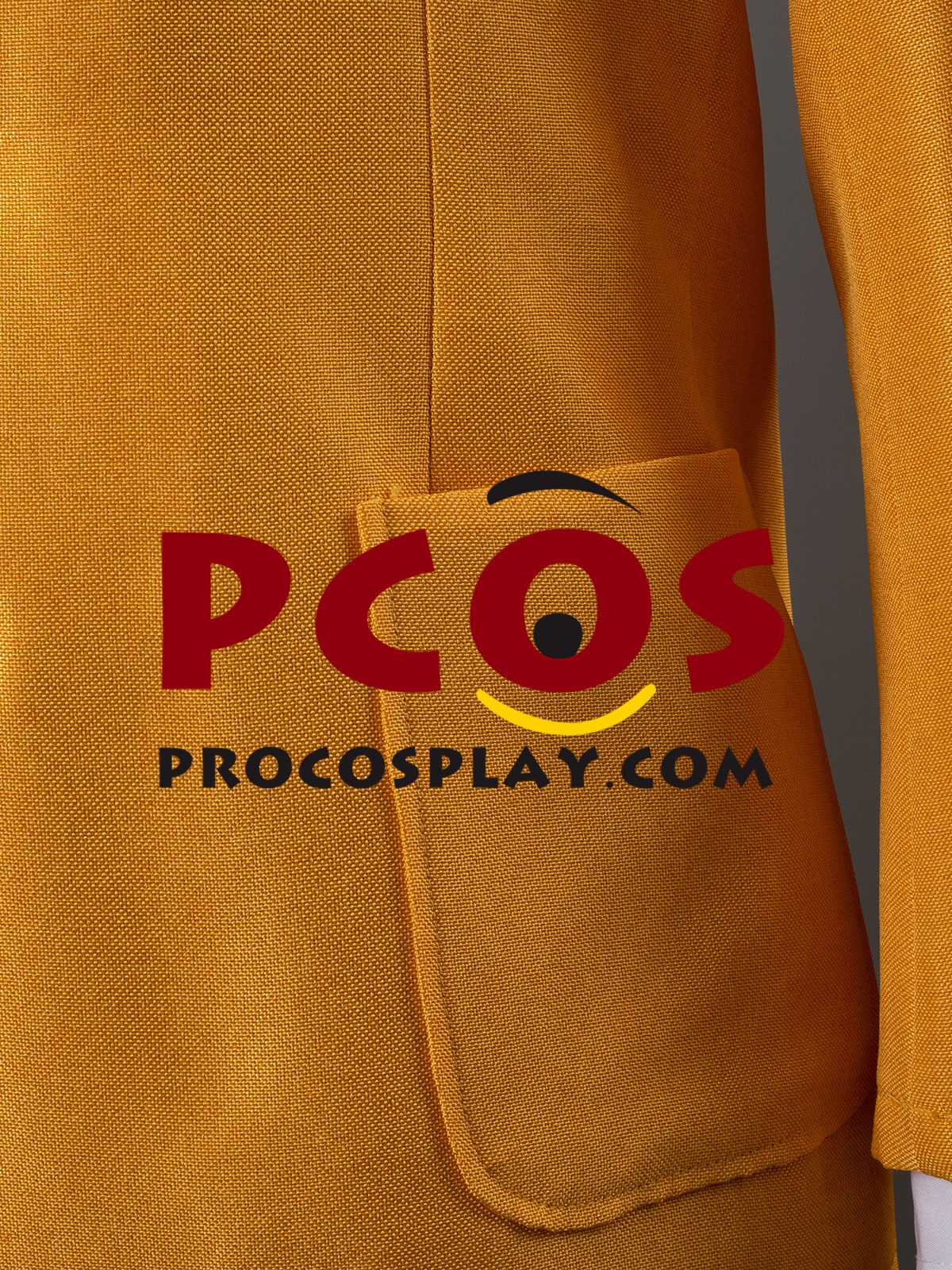 Beetlejuice 2 Bob Cosplay Costume FY0134 - Best Profession Cosplay ...