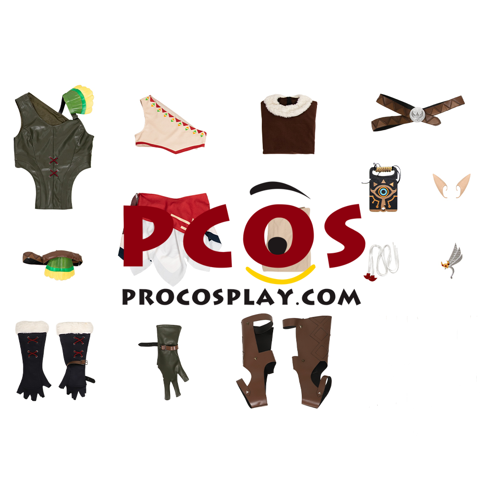 The Legend of Zelda: Breath of the Wild Link Cosplay Costume C09297 ...