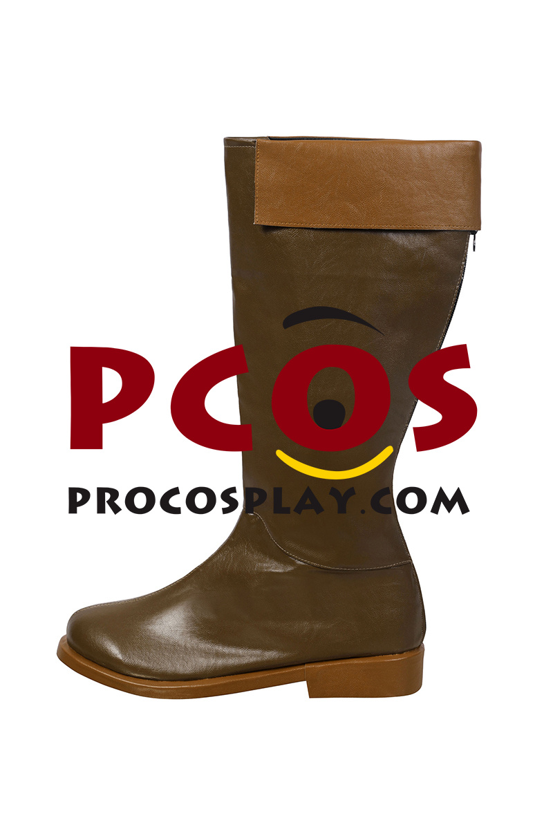 The Legend of Zelda: Tears of the Kingdom Link Cosplay boots C07551 ...