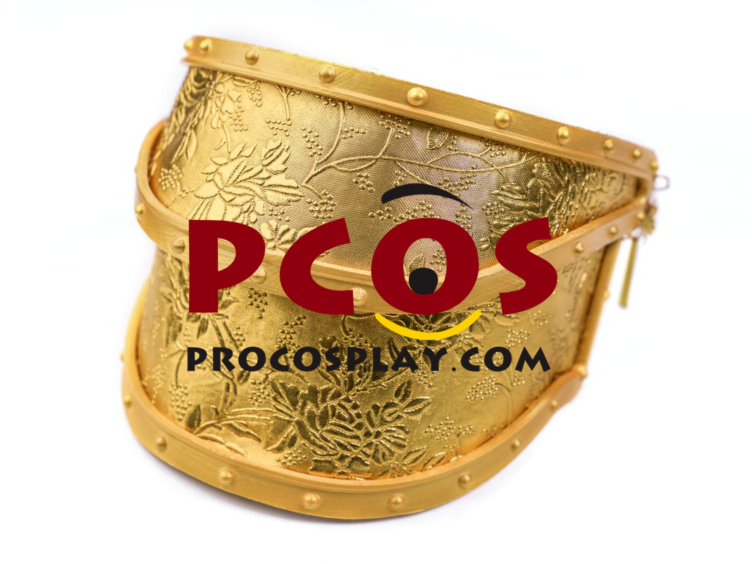 Rumi Golden Cosplay Costume C09519 - Best Profession Cosplay Costumes ...