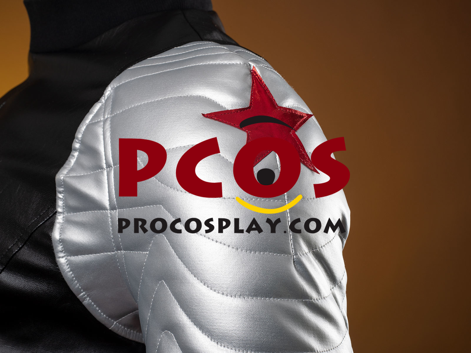 Ready to Ship Captain America: The Winter Soldier Bucky Barnes Cosplay ...