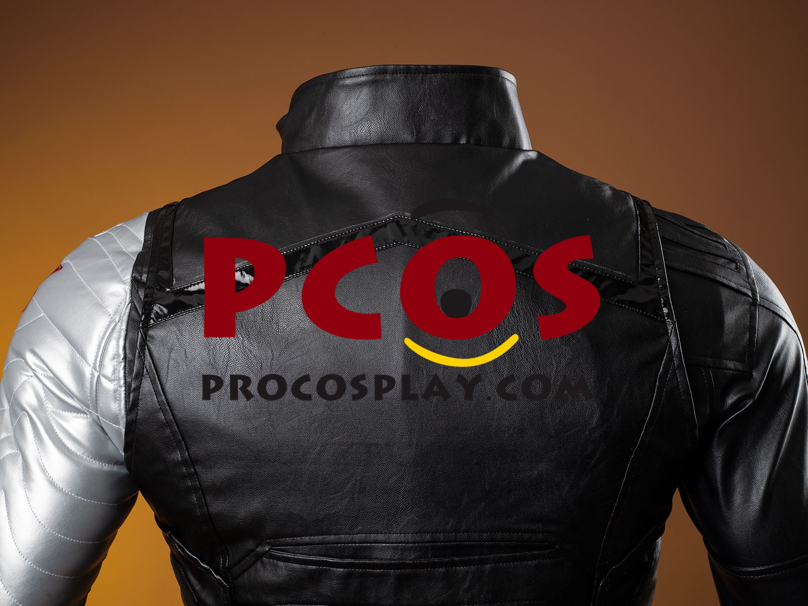 Ready to Ship Captain America: The Winter Soldier Bucky Barnes Cosplay ...