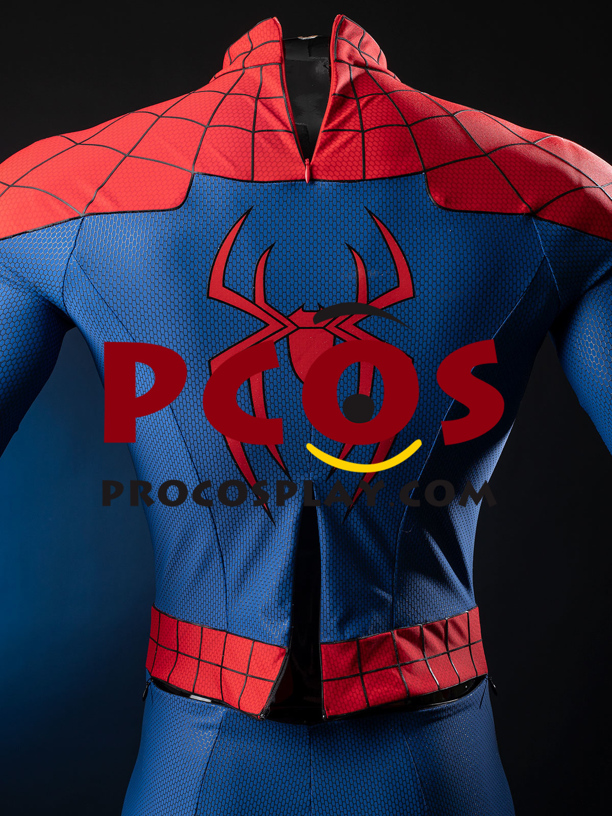 Brand New Day Peter Parker Cosplay Costume C09588S - Best Profession ...
