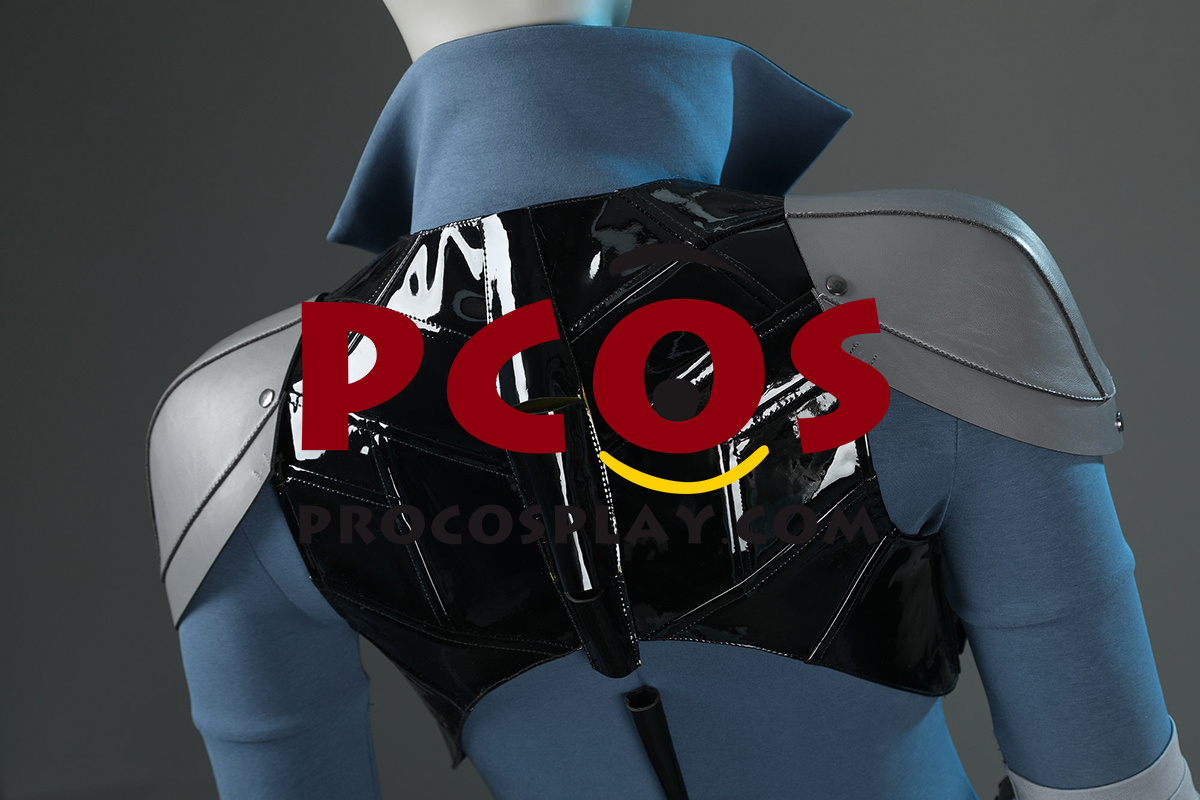 Costume de cosplay de Selina Kyle (Catwoman absolue) C09818 - Boutique ...