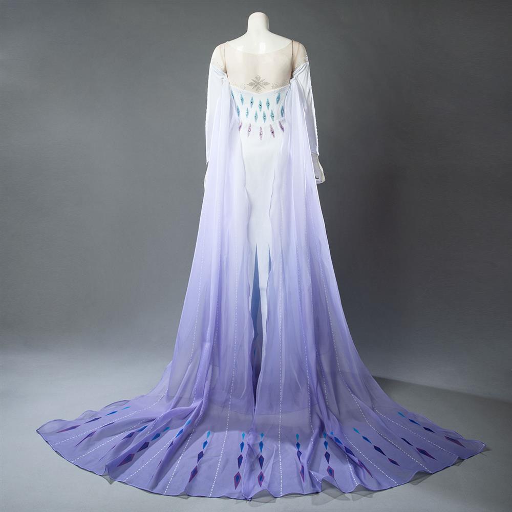 Frozen 2 Elsa Spirit Dress Cosplay Costume mp005584 - Best Profession ...